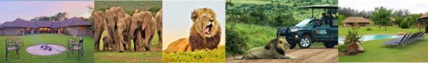 Addo Tour Packages | Addo Winter Special | Addo Elephant National Park ...
