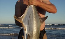 Addo Photographs | Addo Elephant National Park | Addo Tours