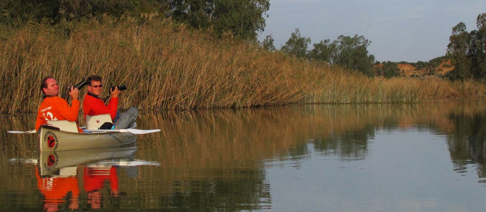 Addo River Safari | Bird Watching Addo | Addo Kayaking