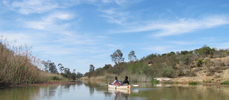 Addo River Safari | Bird Watching Addo | Addo Kayaking